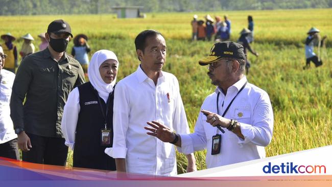 Besok Presiden Jokowi Bakal Tanam Padi Bareng Petani Tuban, Ini Agendanya