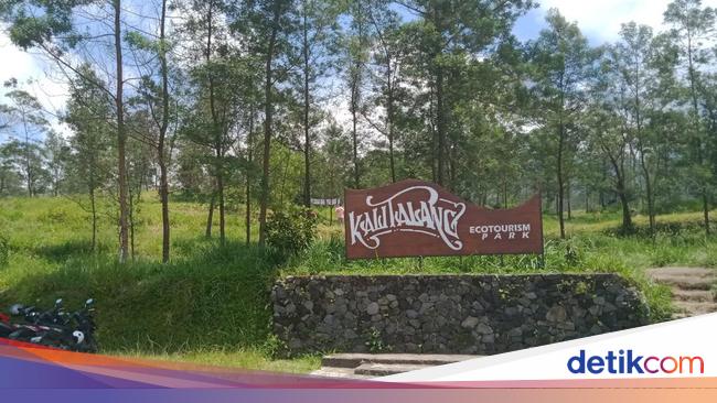 Merapi Gugurkan Awan Panas, Rute Tracking di Kali Talang Klaten Dibatasi