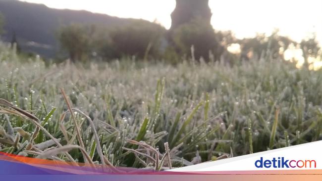 Embun Es di Dieng Pagi Ini yang Pertama Tahun 2023