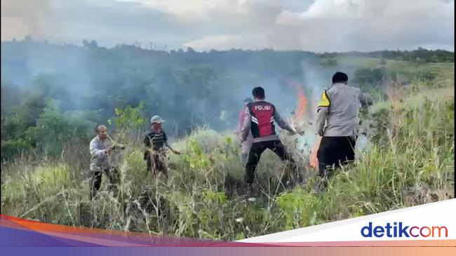3 Hektare Lahan di Bukit Teletubbies Nusa Penida Terbakar