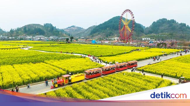 Serunya Keliling Kebun Bunga di China dengan Kereta Wisata