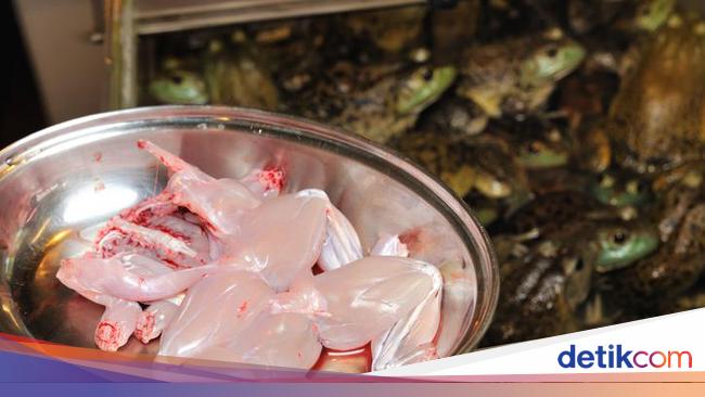 Catat! MUI Tetapkan Daging Katak Haram Untuk Dikonsumsi