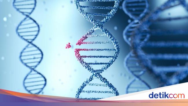 Apa Itu Genetika? Ini Pengertian dan Contohnya