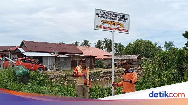 9 Desa di Mateng Rawan Serangan Buaya, BPBD Catat 3 Orang Luka-4 ... 9 Desa di Mateng Rawan Serangan Buaya, BPBD Catat 3 Orang Luka-4 ...