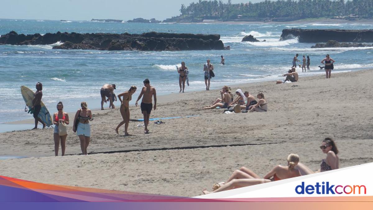 Viral Bule Berhubungan Seksual di Pantai, Lokasinya Diduga di Canggu