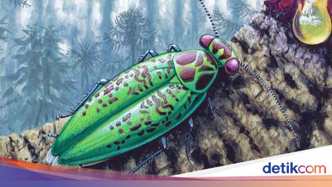 Fosil Kecoak Metalik yang Selamat dari Kepunahan Era Kapur Akhir Ditemukan