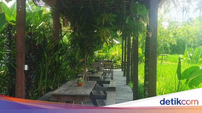 RUMKA Bali, Kafe Hidden Gem Pinggir Sawah di Tengah Kota Denpasar