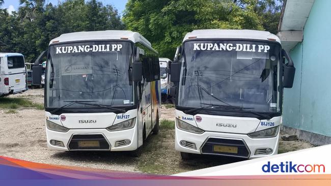 DAMRI Kupang-Dili Khusus untuk Penumpang Tujuan Timor Leste