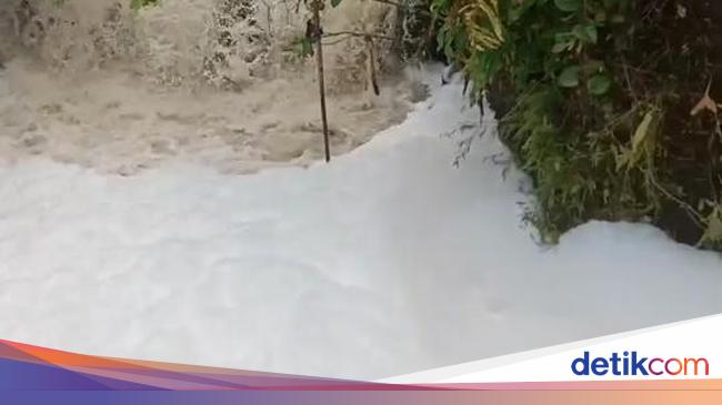 Heboh Busa Selimuti Sungai di Cianjur