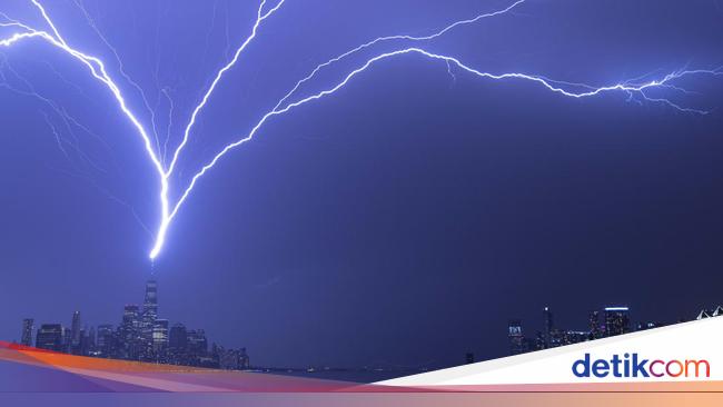 Pohon Bekas Tersambar Petir Hasilkan Mineral Baru, Apa Itu?