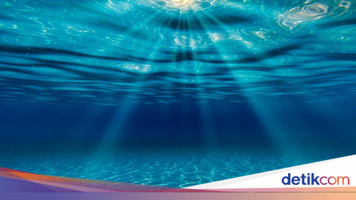China Klaim Ada Intel Asing yang Memata-matai Perairannya Pakai Hewan Laut