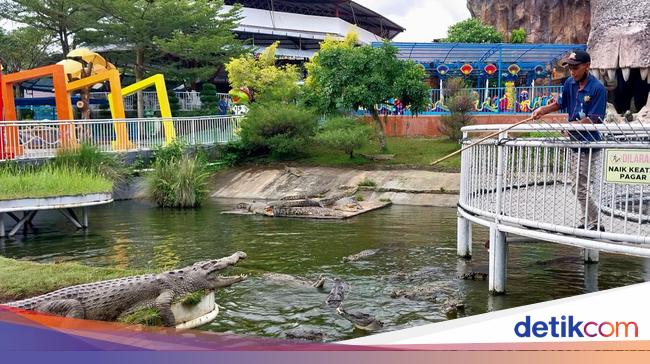 Predator Fun Park: Daya Tarik, Jam Buka, dan Harga Tiket Masuk