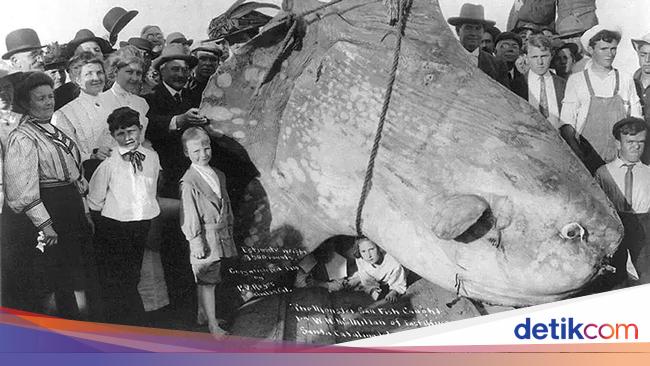 Foto Jadul Nelayan dan Tangkapannya Bikin Melotot