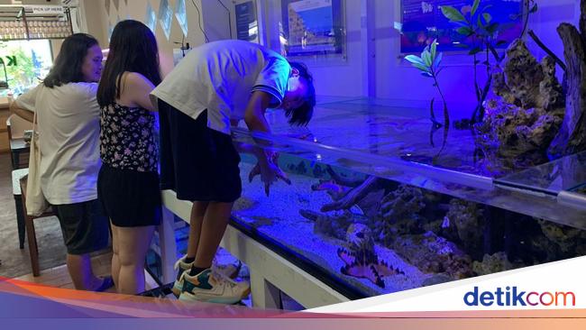 Jajal Wisata Edukasi Biota Laut Lewat Wahana Touch Pool, Ajak Si Kecil Yuk!