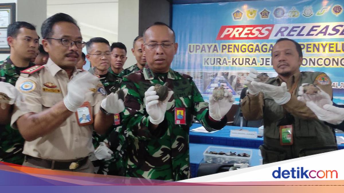 Pengiriman 5.632 Labi-labi Senilai Rp 844 Juta ke Vietnam Digagalkan