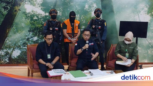 KLHK Tangkap Cukong Tambang Ilegal di Hutan Mangrove Belitung Timur