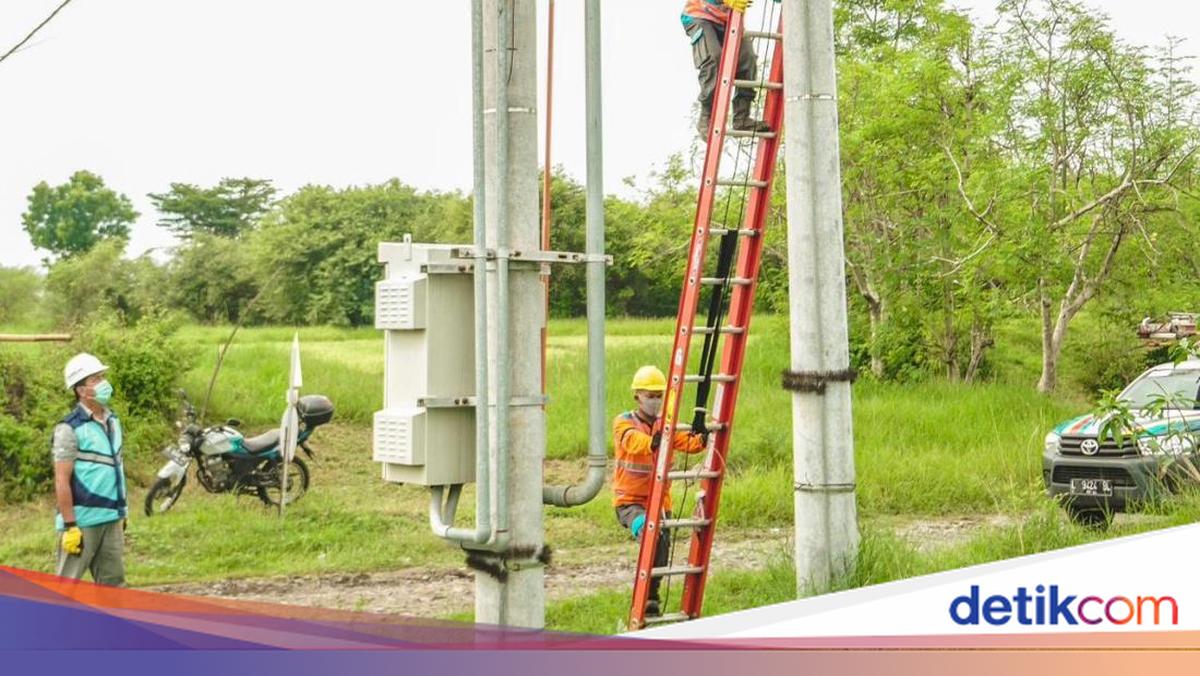 Jaringan PLN Situbondo Diperluas, Warga Dusun Polay Teraliri Listrik