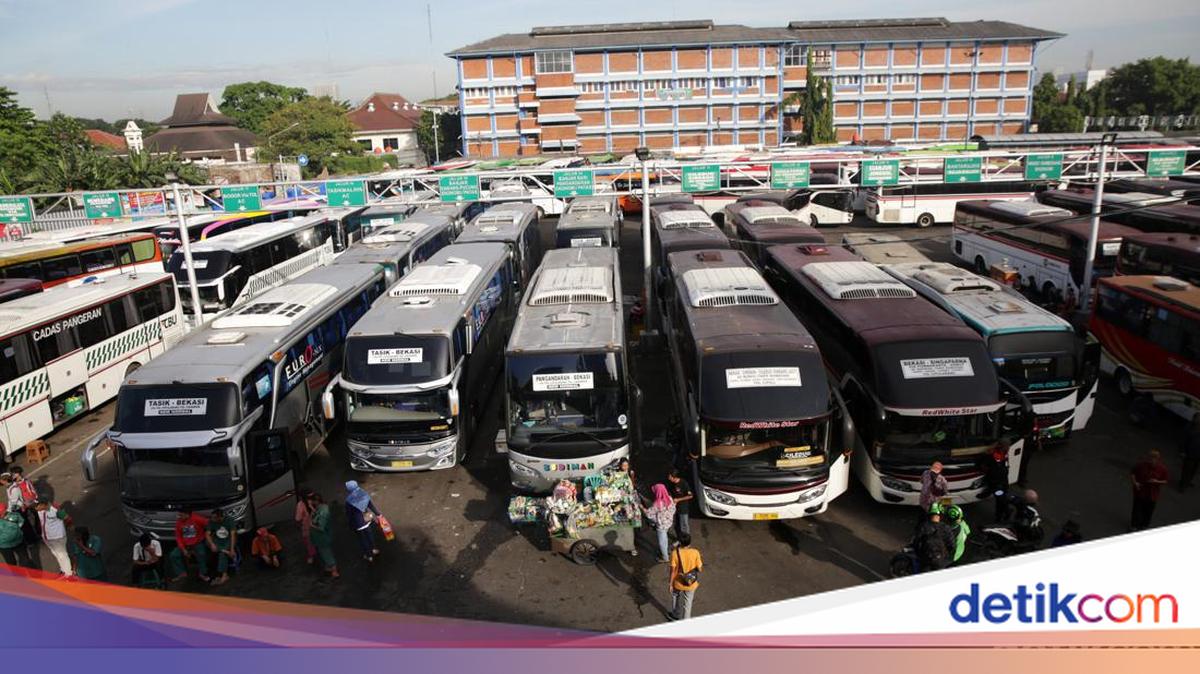 Berapa Gaji Sopir Bus AKAP dan Pariwisata? Segini Kisarannya