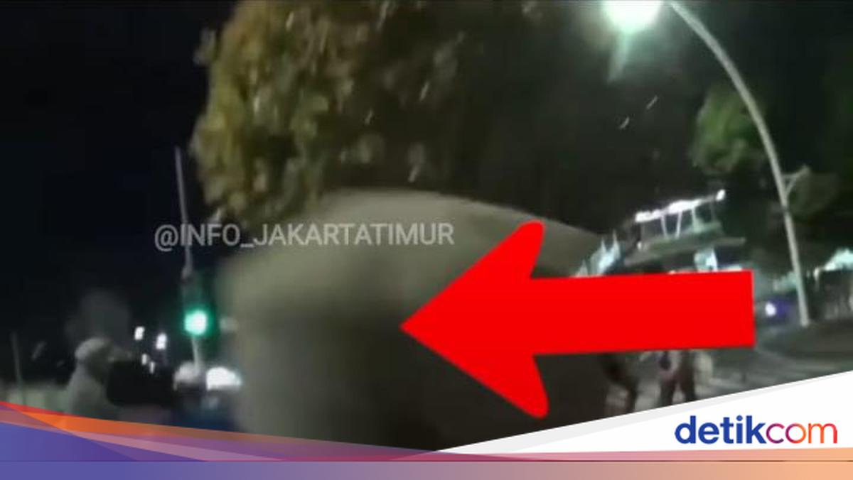 Viral Petugas Satpol PP Jakarta Dipukul Pengamen Pakai Gitar Saat Razia