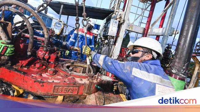 Sikat! Anak Perusahaan Pertamina Lagi Buka Program Magang Nih