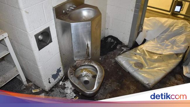 Fakta-Fakta Kutu Busuk, Bikin Napi di AS Tewas Dimakan Hidup-hidup
