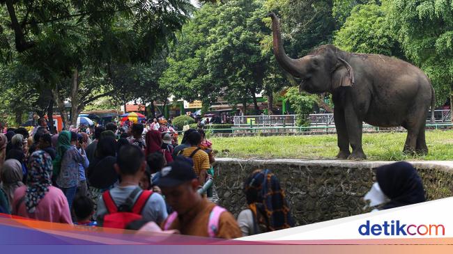 Taman Margasatwa Ragunan, Rekreasi Murah Meriah dan Lengkap