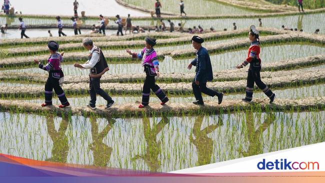 Harmoni Nyanyian dan Tari Sambut Musim Tanam Padi di China
