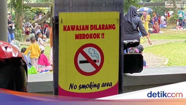 Ini Tanggapan Perokok soal Sanksi Tegas Dilarang Merokok di Ragunan Ini Tanggapan Perokok soal Sanksi Tegas Dilarang Merokok di Ragunan