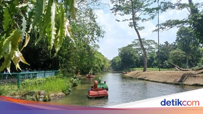 Harga Tiket Masuk Ragunan Terupdate dan Cara Beli Tiketnya
