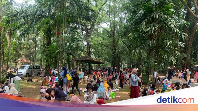 Rosniati Bawa 3 Cucunya dari Bogor ke Ragunan untuk Kenalkan Jenis Binatang