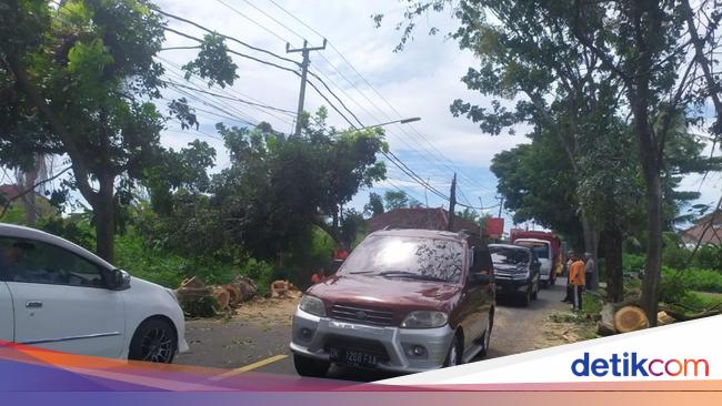 Pohon Tumbang-Melintang di Jalan, Lalin Macet Hampir 3 Jam