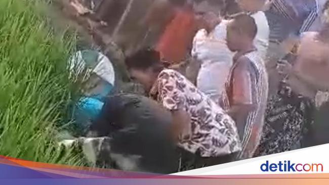 Pasutri Petani di Lamongan Tewas Tersetrum Jebakan Tikus Tetangga
