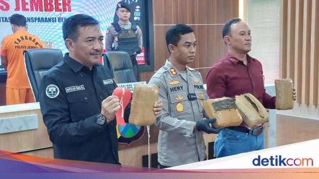 Ganja 10 Kg Hendak Dikirim ke Bali Dibongkar, Kurir Asal Jember Ditangkap