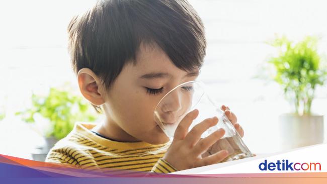 Suhu Udara Semarang Capai 35 Derajat Celsius, Ini Tips Cegah Anak Dehidrasi Suhu Udara Semarang Capai 35 Derajat Celsius, Ini Tips Cegah Anak Dehidrasi