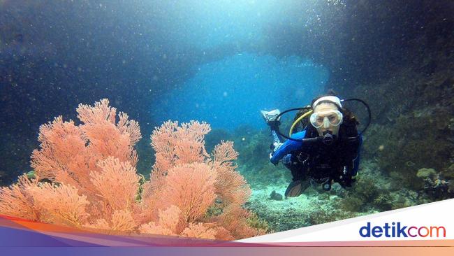 Rahasia Nadine Candrawinata Agar Kulit Tidak Kusam karena Hobi Menyelam