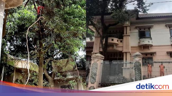 5 Kesamaan Viral Dokter Wayan dan Bu Eny di Rumah Mewah Terbengkalai