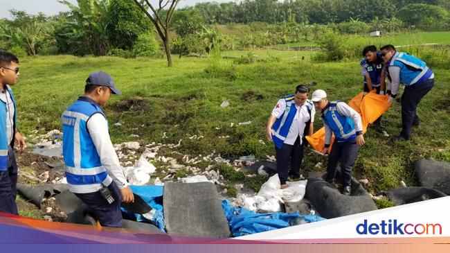 Pikap Muat Ayam Kecelakaan di Tol Ngawi gegara Pecah Ban, Sopir Tewas