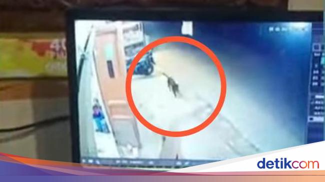 Kata Polisi Soal Rekaman CCTV 'Anjing Ngepet' yang Hebohkan Warga Gowa