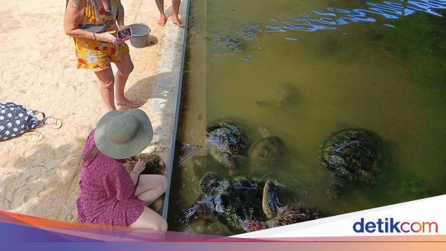 Wisata Pulau Penyu Kembali Menggeliat, Dulu Digandrungi Turis China