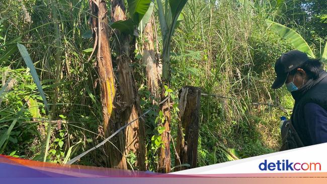 Identitas Mayat Pria Bugil di Depok Misterius, Ini Ciri-cirinya