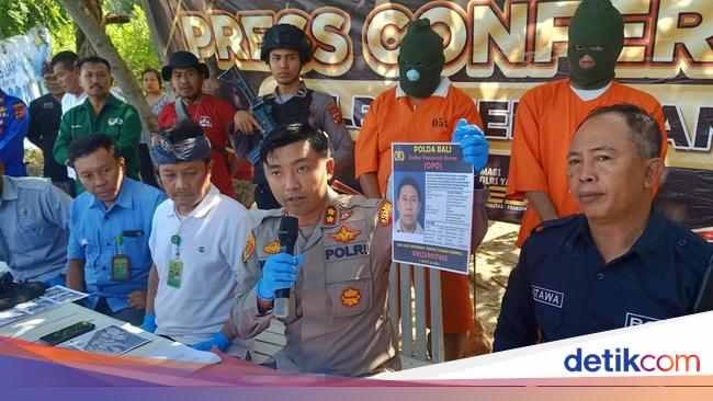 1 Tersangka Penyelundupan 18 Penyu Ternyata DPO Polda Bali