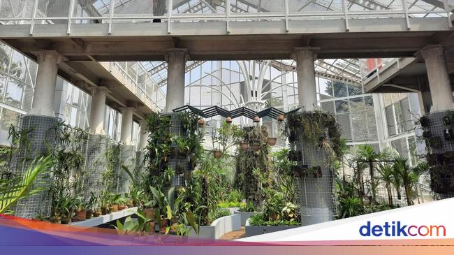 Melihat Wajah Baru Griya Anggrek Kebun Raya Bogor