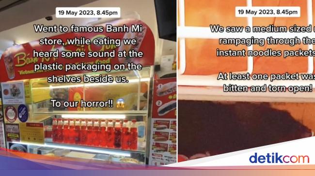 Jijik! Tikus Besar Ini Berkeliaran di Rak Mie Instan Gerai Banh Mi