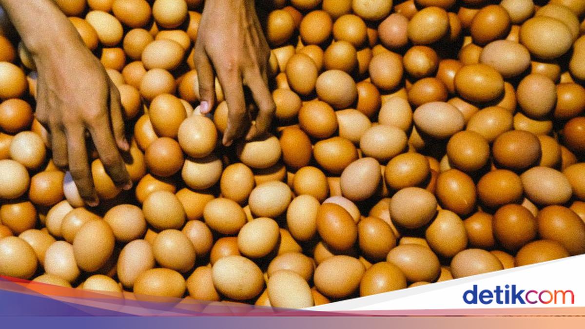 Harga Sembako Jogja Hari Ini 10 Juni 2025: Telur Ayam Ras Naik Tipis ...
