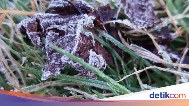 Embun Es Selimuti Kompleks Candi Arjuna Dieng Pagi Ini