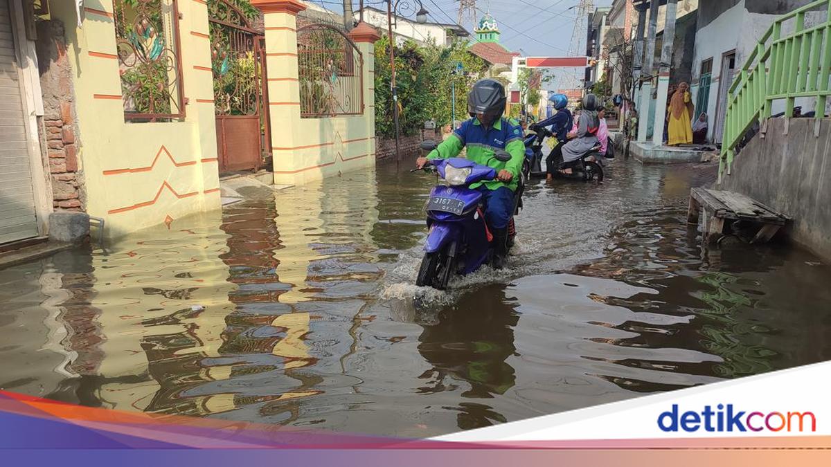 Lagi! Kampung Tambakrejo Semarang Kembali Terendam Rob Hari Ini