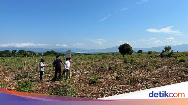 Tanah Satu Tumbak Berapa Meter Persegi?