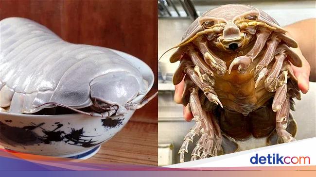 Unik! Ramen Topping Kutu Laut Raksasa Ini Hanya Ada di Taipei