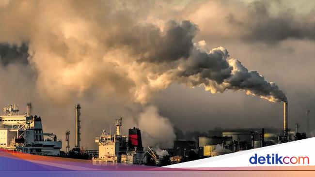 Polusi Udara: Pengertian, Penyebab dan Cara Pencegahannya