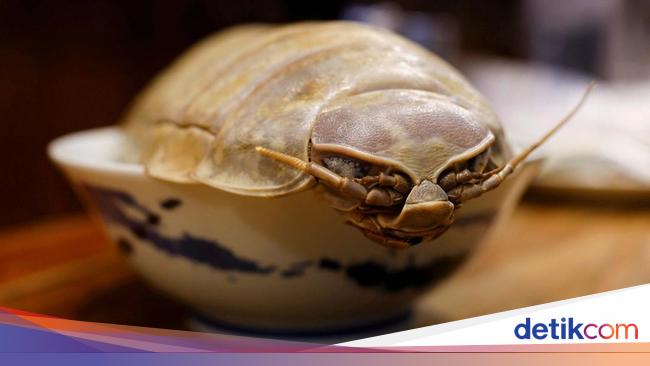 Restoran ini Sajikan Ramen dengan Topping 'Kecoa' Raksasa